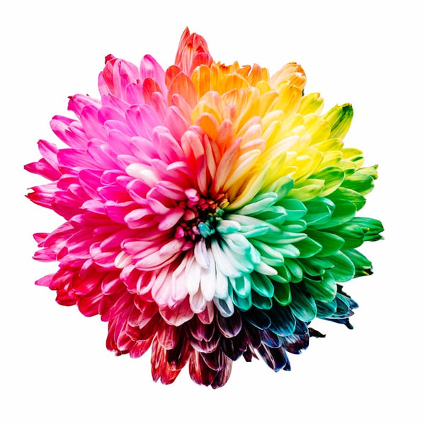 Understanding the Personality Color Chart: Traits and Implications - MIKOL